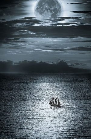 90 Charming Moonlight Photography Ideas and Tips [2020 Updated] - Greenorc