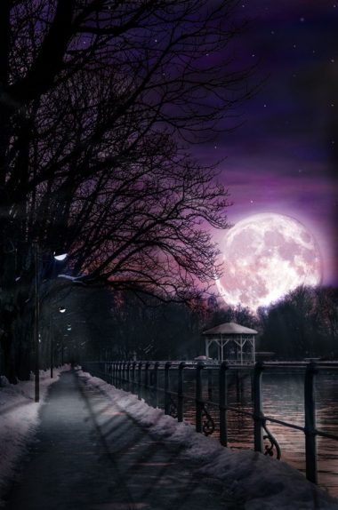 90 Charming Moonlight Photography Ideas and Tips [2020 Updated] - Greenorc