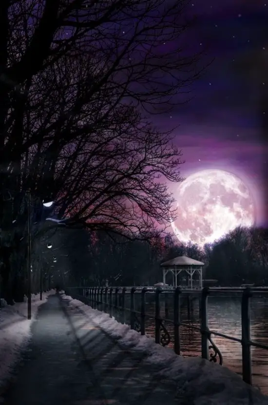 90 Charming Moonlight Photography Ideas and Tips [2020 Updated] - Greenorc