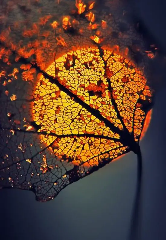 90 Charming Moonlight Photography Ideas and Tips [2020 Updated] - Greenorc