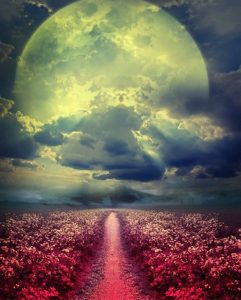 90 Charming Moonlight Photography Ideas and Tips [2020 Updated] - Greenorc