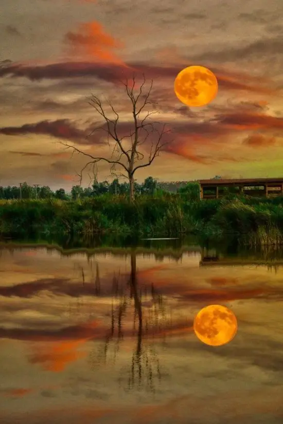 90 Charming Moonlight Photography Ideas and Tips [2020 Updated] - Greenorc