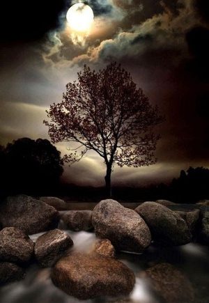 90 Charming Moonlight Photography Ideas and Tips [2020 Updated] - Greenorc