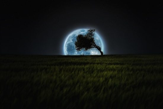 90 Charming Moonlight Photography Ideas and Tips [2020 Updated] - Greenorc