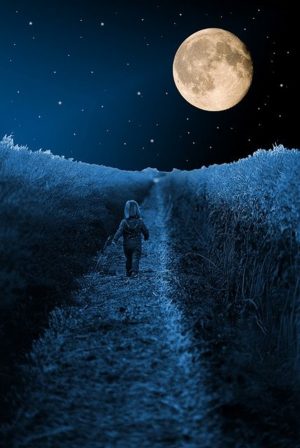 90 Charming Moonlight Photography Ideas and Tips [2020 Updated] - Greenorc