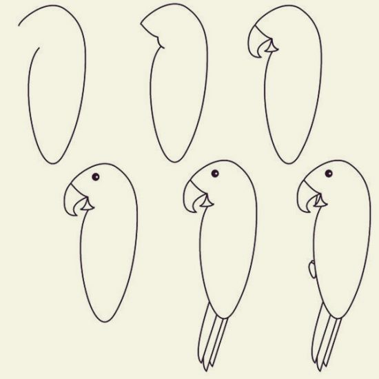 How to draw Cute Animals: 45 Examples - Greenorc