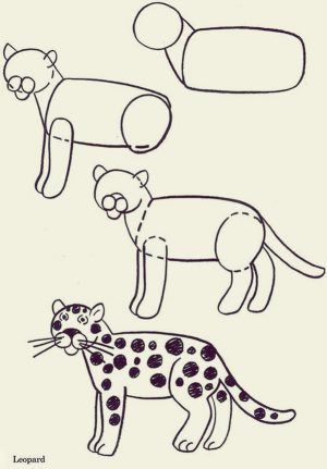 How to draw Cute Animals: 45 Examples - Greenorc