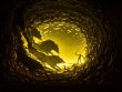 40 Beautiful Examples of Backlit Paper Art - Greenorc