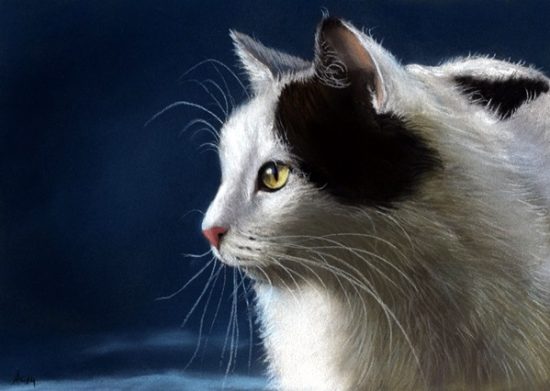 40 Beautiful Oil Pastel Paintings To Try - Greenorc