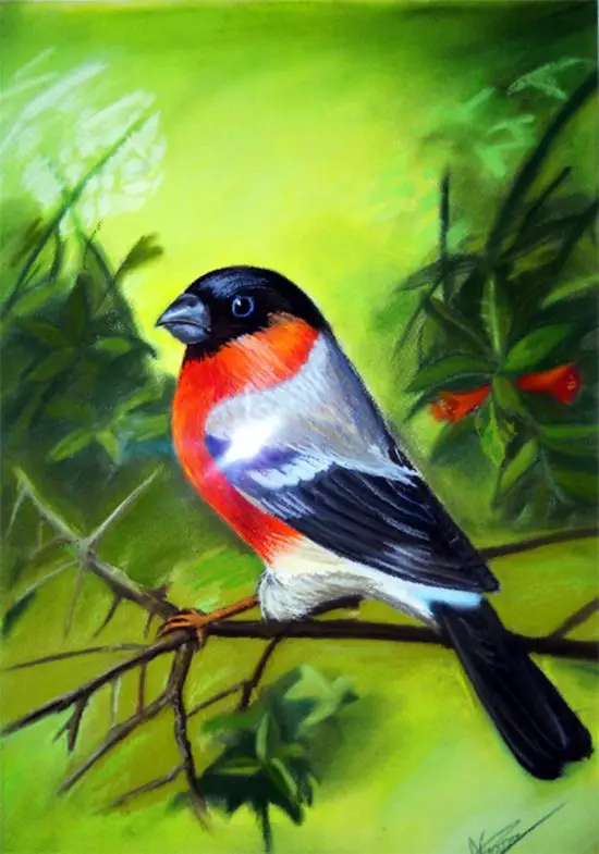 40 Beautiful Oil Pastel Paintings To Try - Greenorc