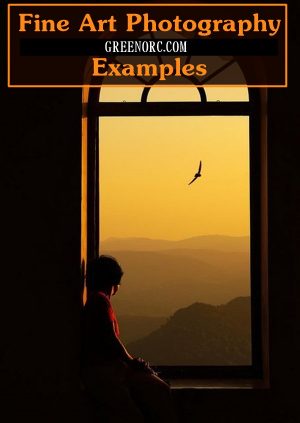 40 Appealing fine art photography Examples - Greenorc