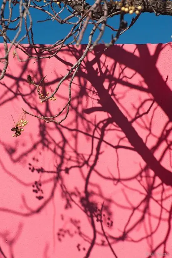 40 Appealing fine art photography Examples - Greenorc