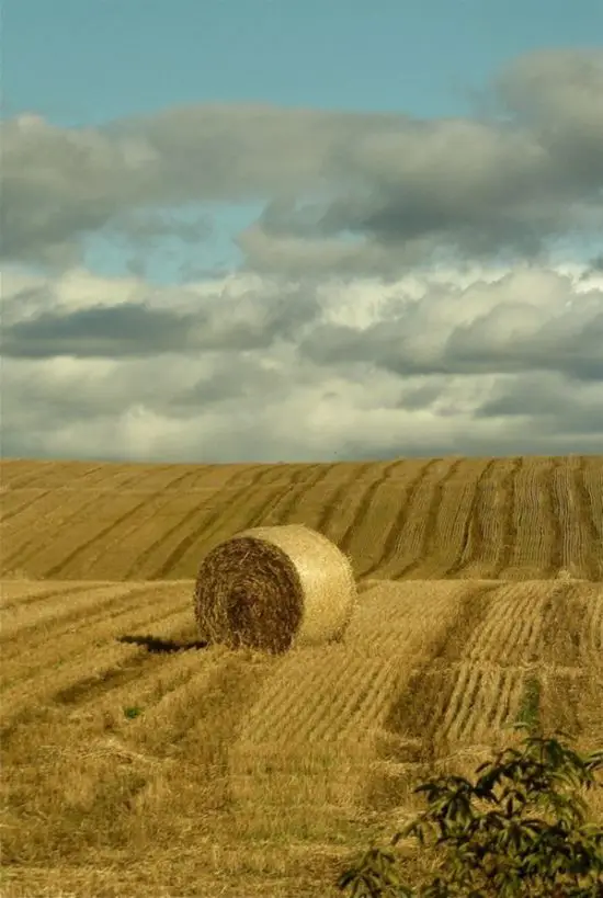 40 Appealing fine art photography Examples