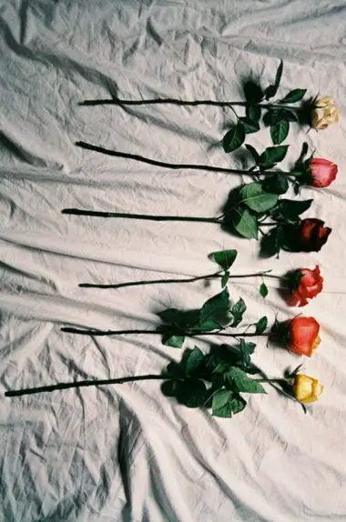 40 Appealing fine art photography Examples - Greenorc