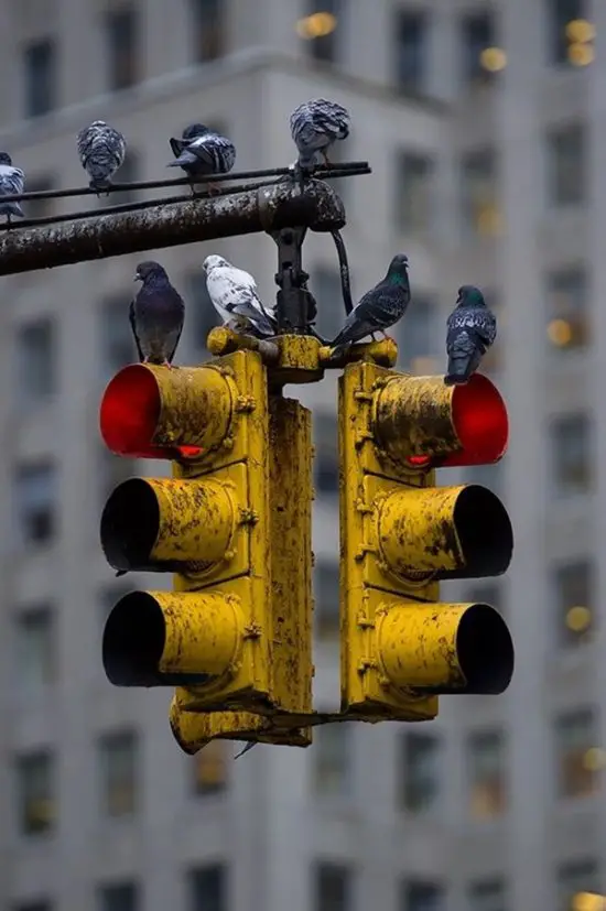 40 Appealing fine art photography Examples - Greenorc