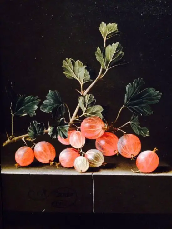 45 Appealing Still Life Paintings for Inspiration - Greenorc