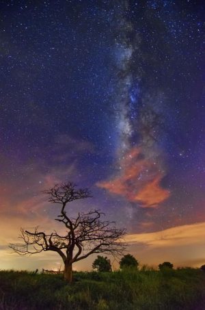 45 Incredible Meteor Shower Photography Ideas - Greenorc