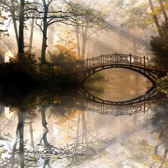 45 Mysterious Bridges Photography Ideas and Tips - Greenorc