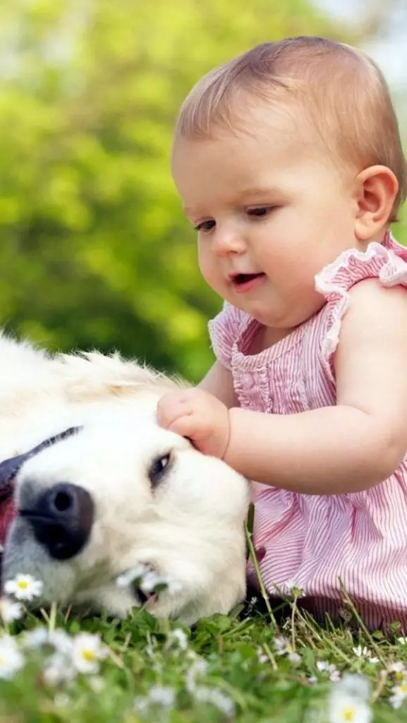45 Cute Pictures of Babies and Dogs
