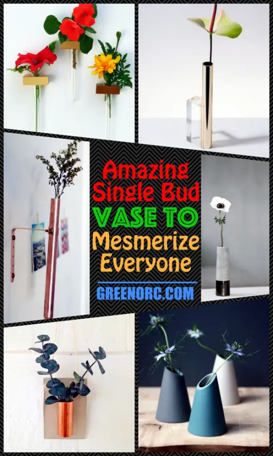 Amazing Single Bud Vase To Mesmerize Everyone - Greenorc