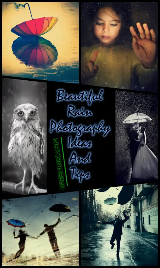 45 Beautiful Rain Photography Ideas And Tips - Greenorc