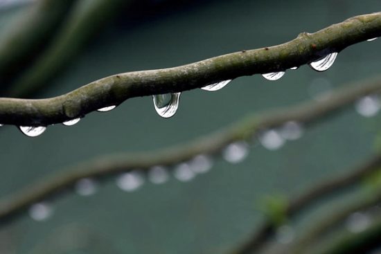45 Beautiful Rain Photography Ideas And Tips
