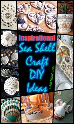 45 Inspirational Sea Shell Craft DIY Ideas - Greenorc