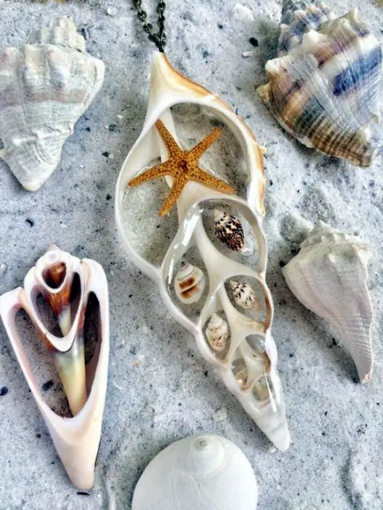 45 Inspirational Sea Shell Craft DIY Ideas - Greenorc