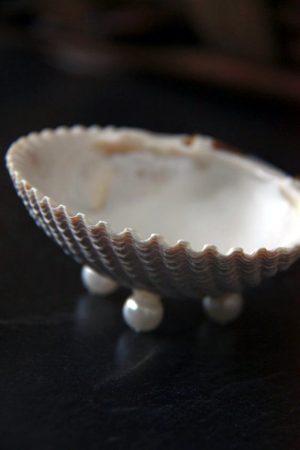 45 Inspirational Sea Shell Craft DIY Ideas - Greenorc
