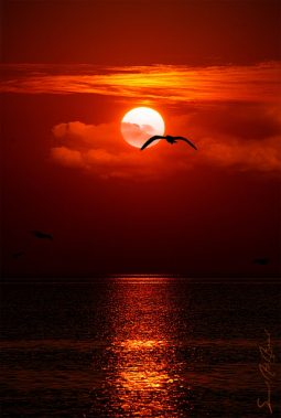 45 Fascinating Full Moon Photography Tips and Ideas - Greenorc