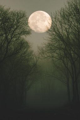 45 Fascinating Full Moon Photography Tips and Ideas - Greenorc