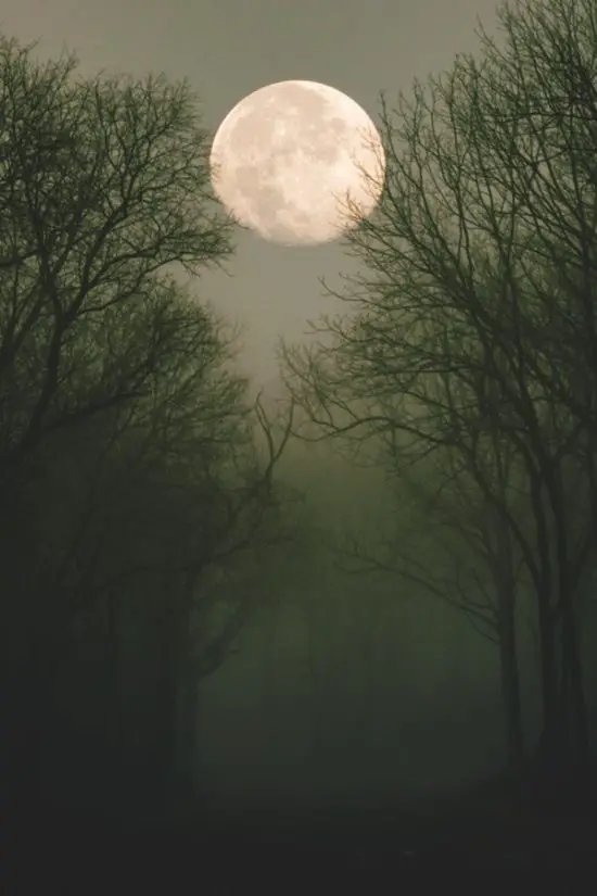 45 Fascinating Full Moon Photography Tips and Ideas - Greenorc