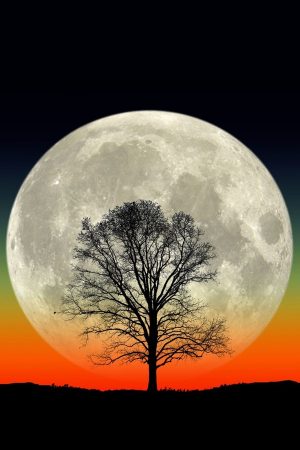45 Fascinating Full Moon Photography Tips and Ideas - Greenorc
