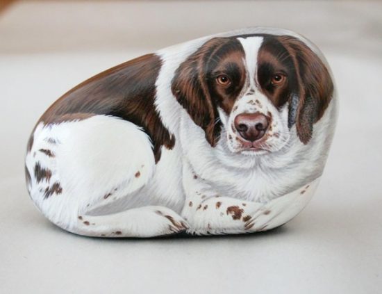 Painting Realistic Animals on Rock (Step by Step Guide for Beginners ...